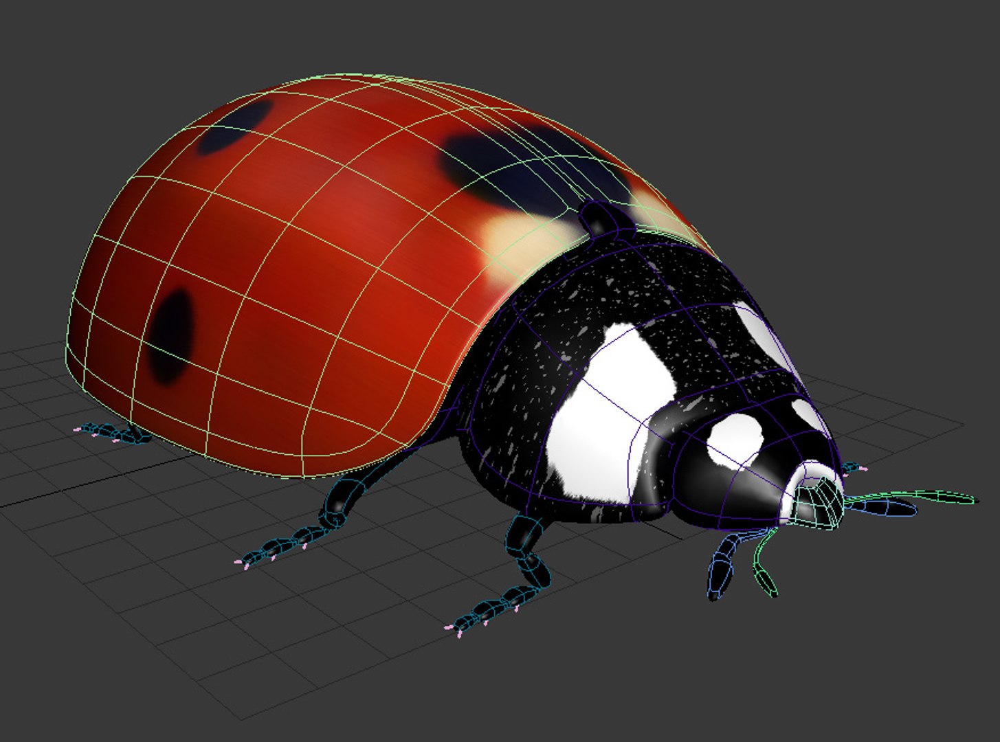 3ds ladybird ladybug