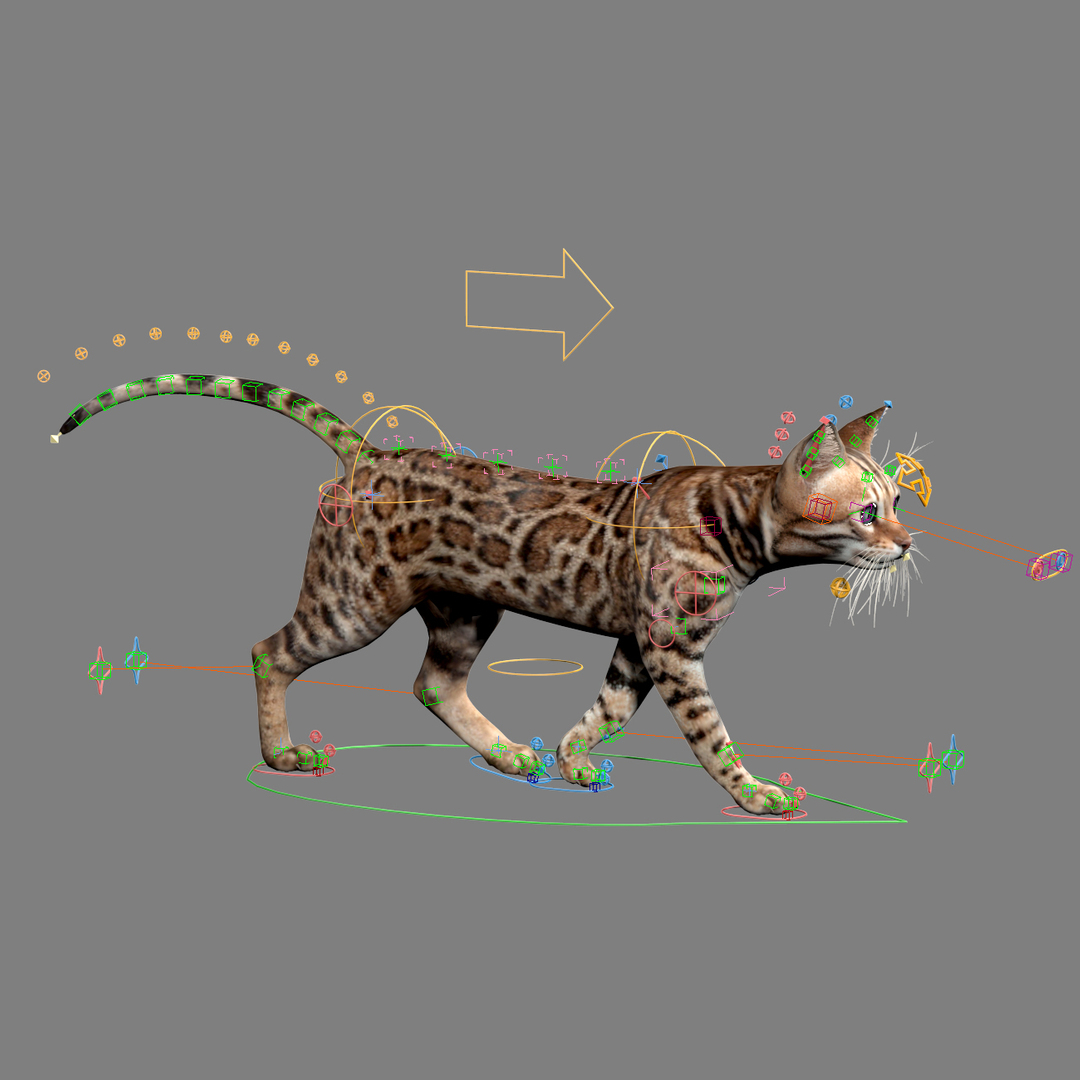 max bengal cat fur hair animation