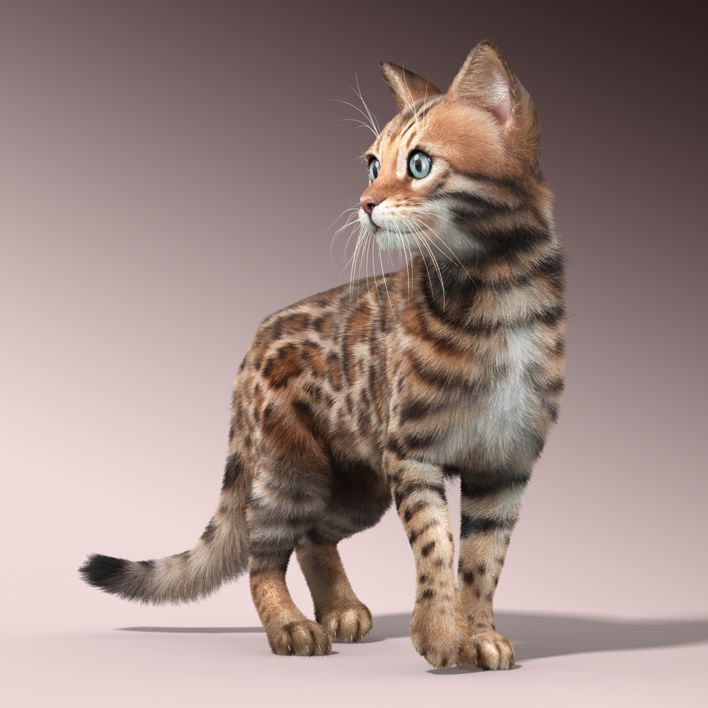 max bengal cat fur hair animation