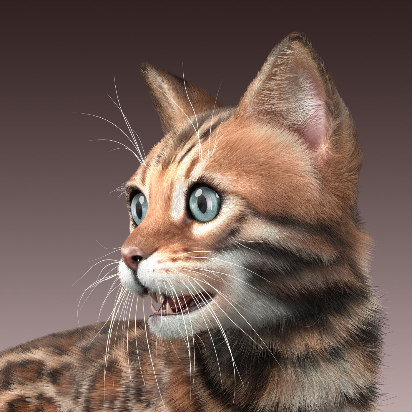 max bengal cat fur hair animation
