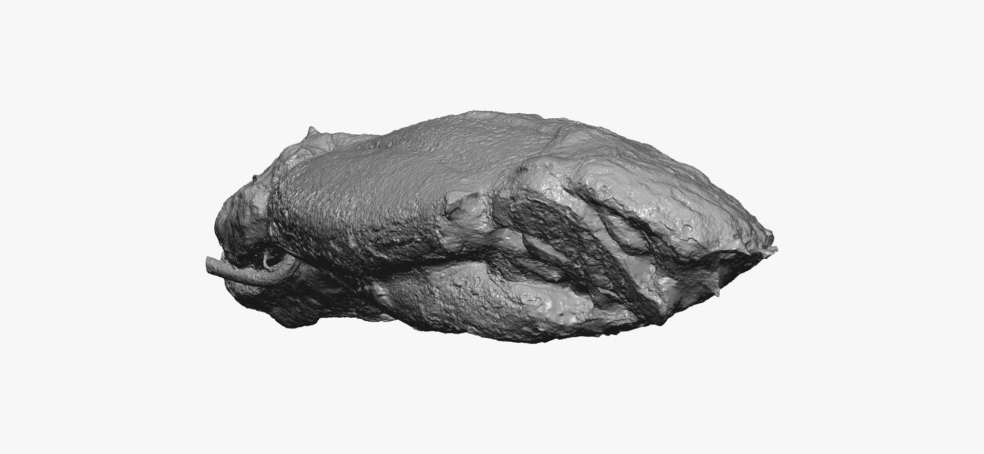 Chicken Wing 02 RAW Scan Model - TurboSquid 1819814