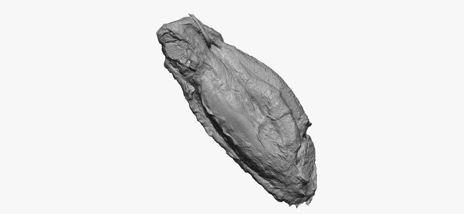 Chicken Wing 02 RAW Scan Model - TurboSquid 1819814