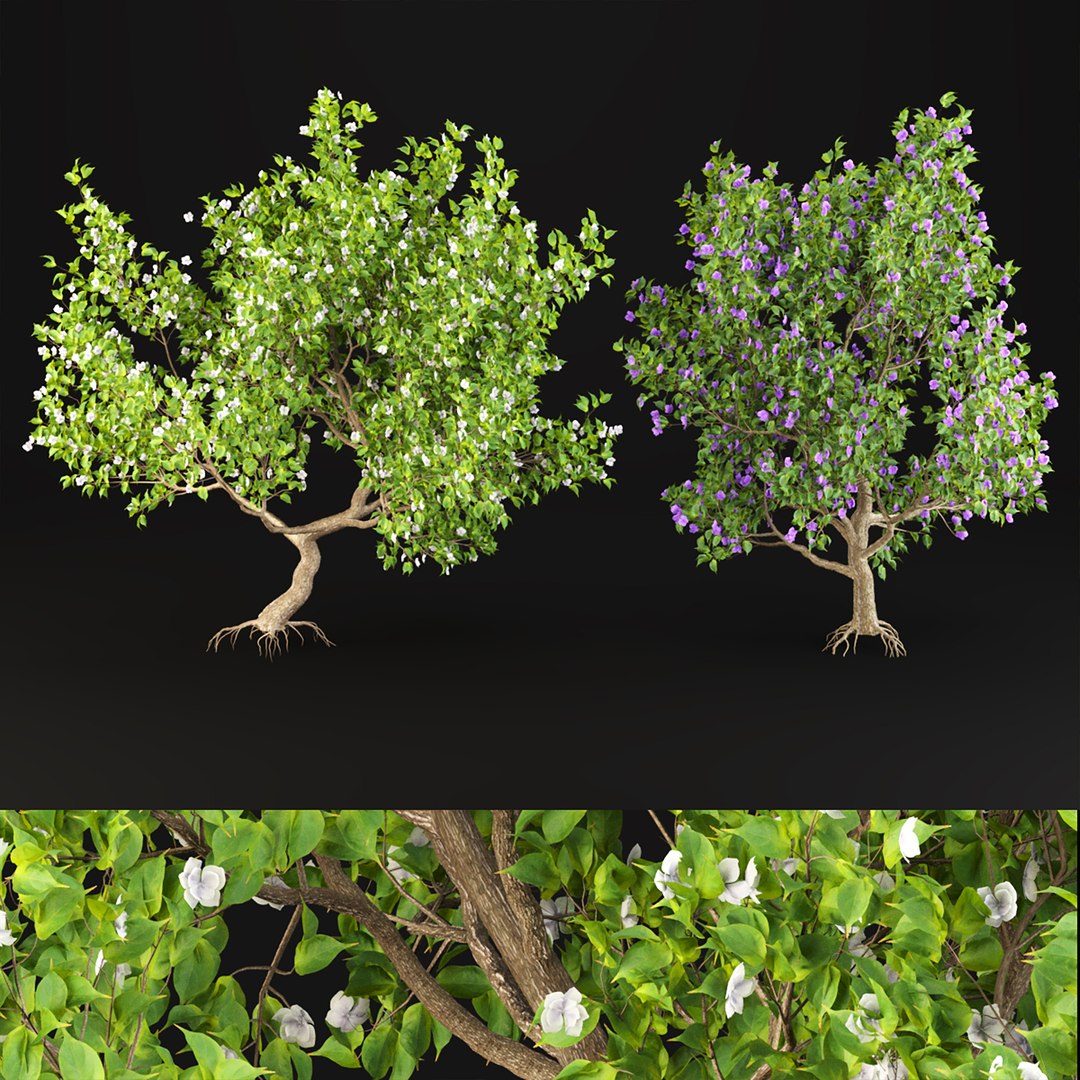 Trees vol 13 3D model - TurboSquid 1947627