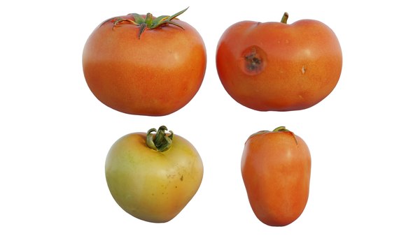 modelo 3d tomato - TurboSquid 1944652