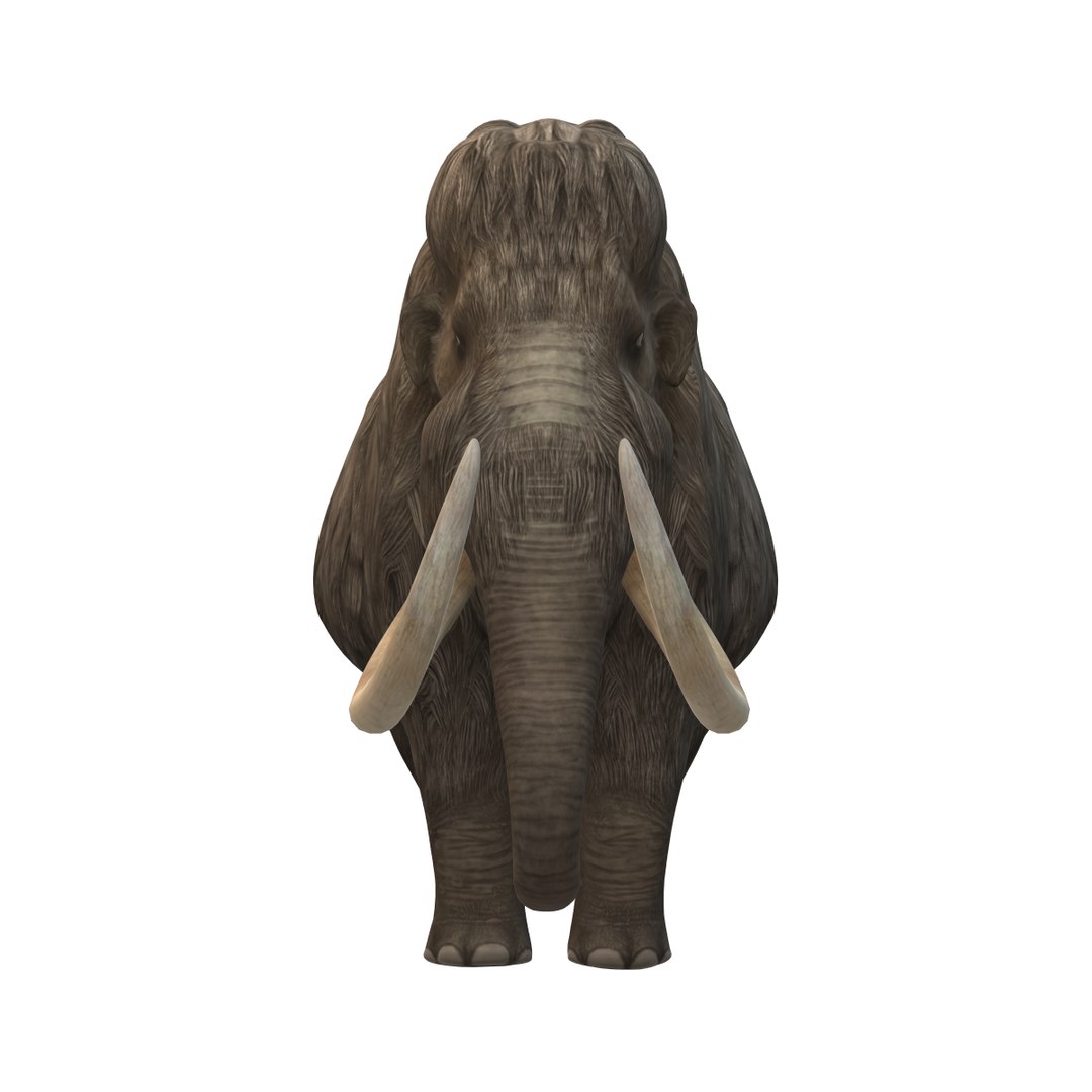 Woolly Mammoth 3D Model - TurboSquid 2346689