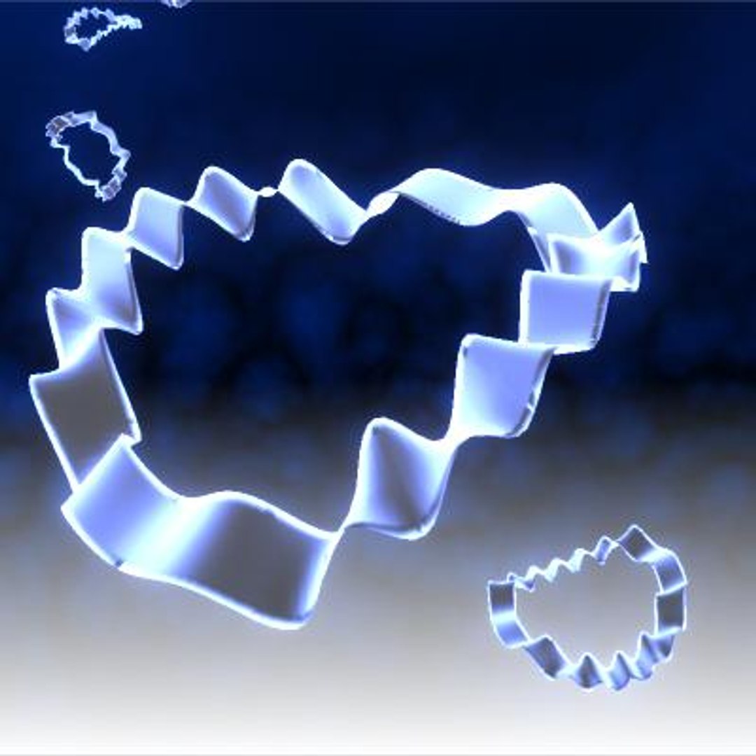 Closed String Theory Max