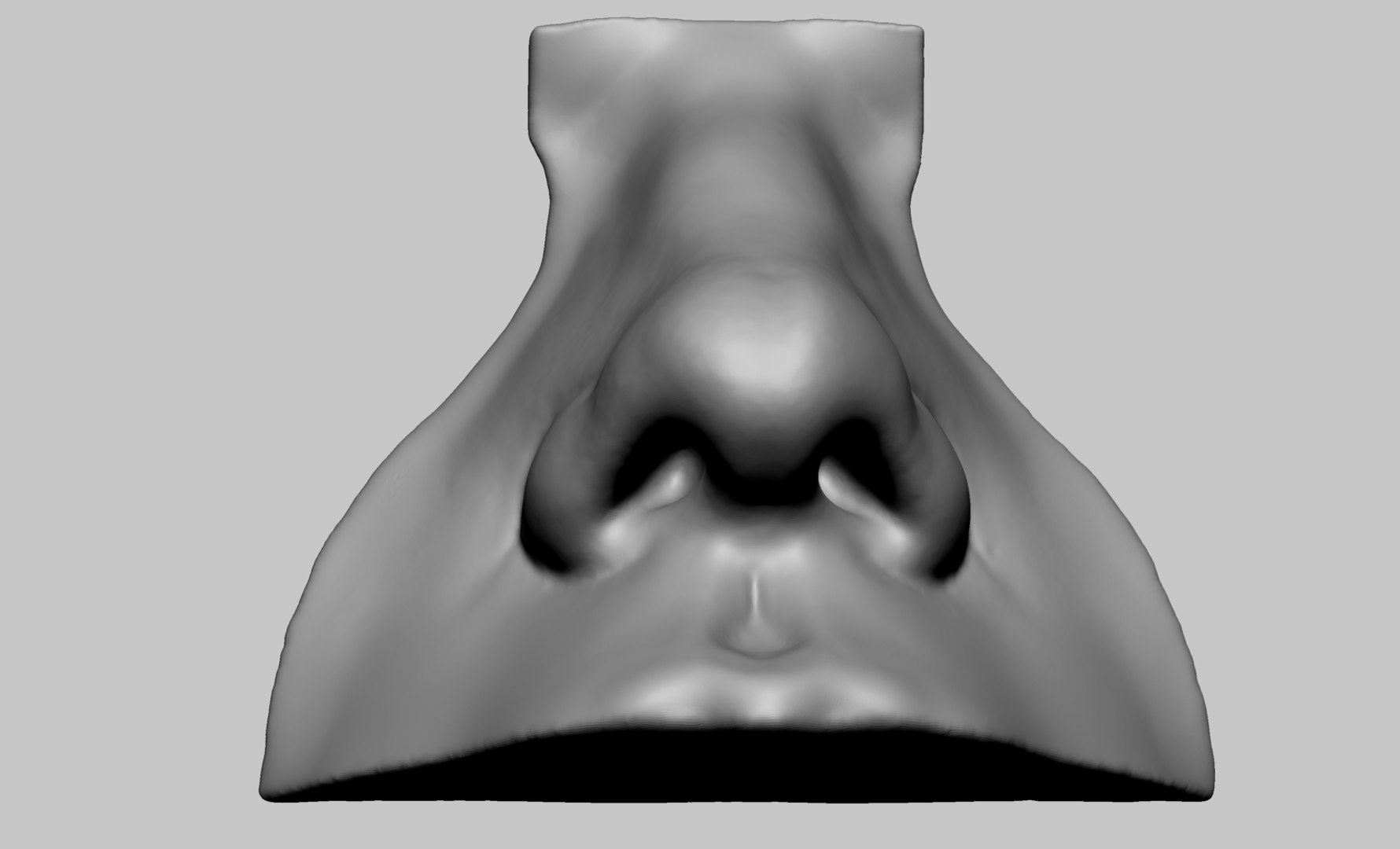 3D nose 3dprint ztl - TurboSquid 1516637