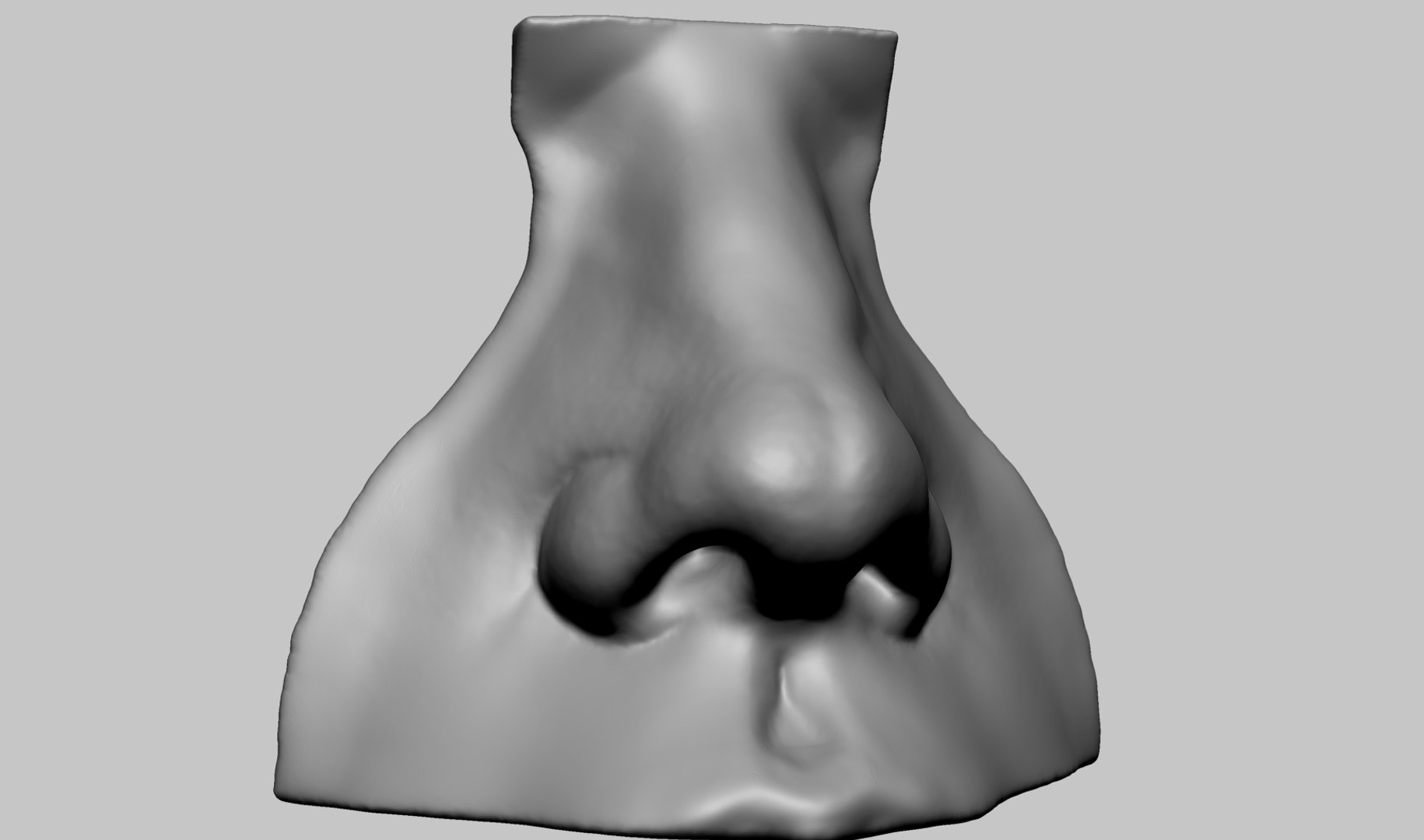 3D nose 3dprint ztl - TurboSquid 1516637