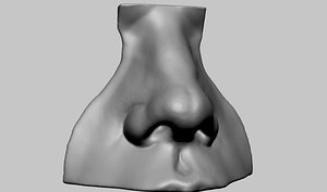 3D Nose Models - Browse & Download Formats - TurboSquid