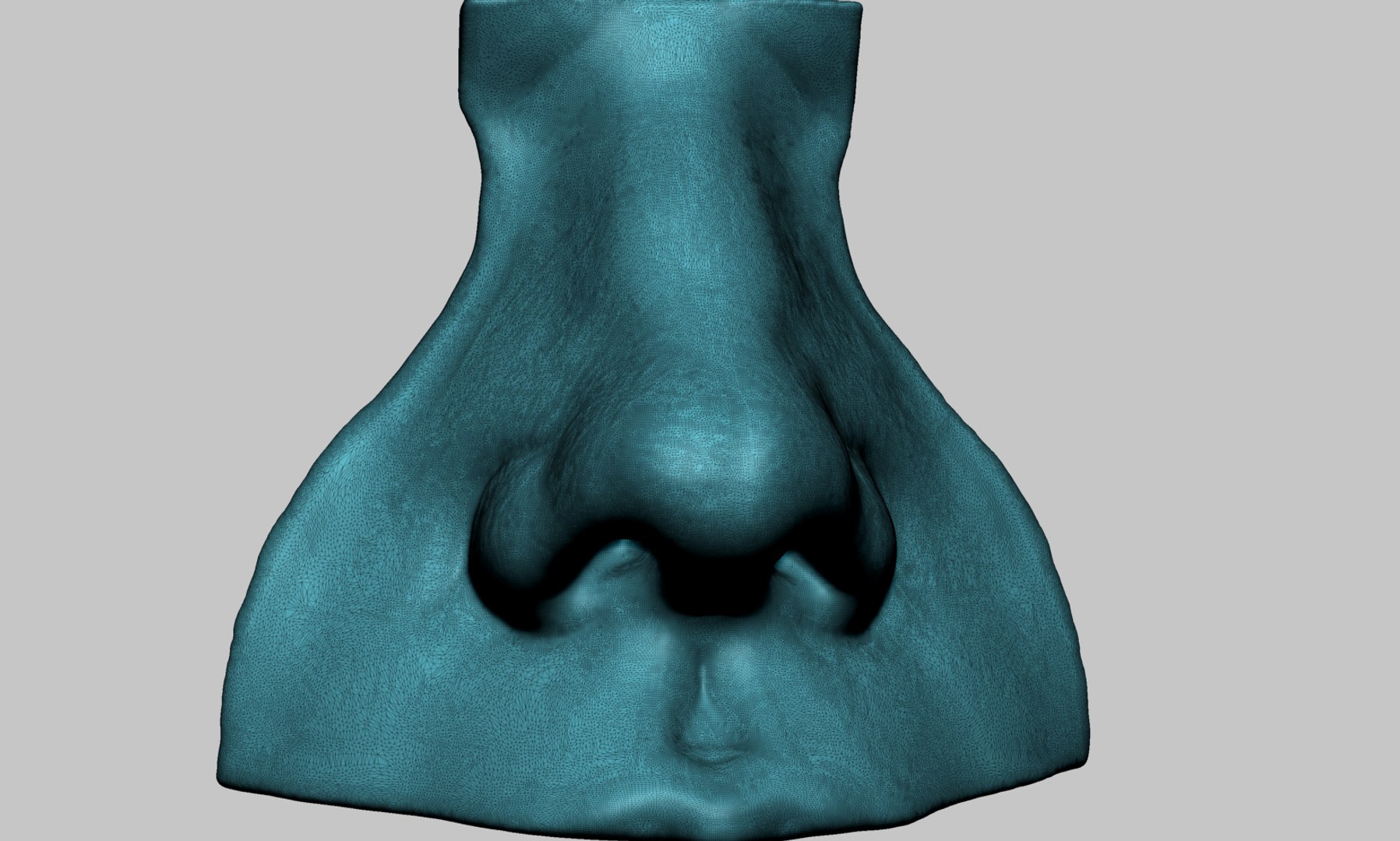 3D nose 3dprint ztl - TurboSquid 1516637