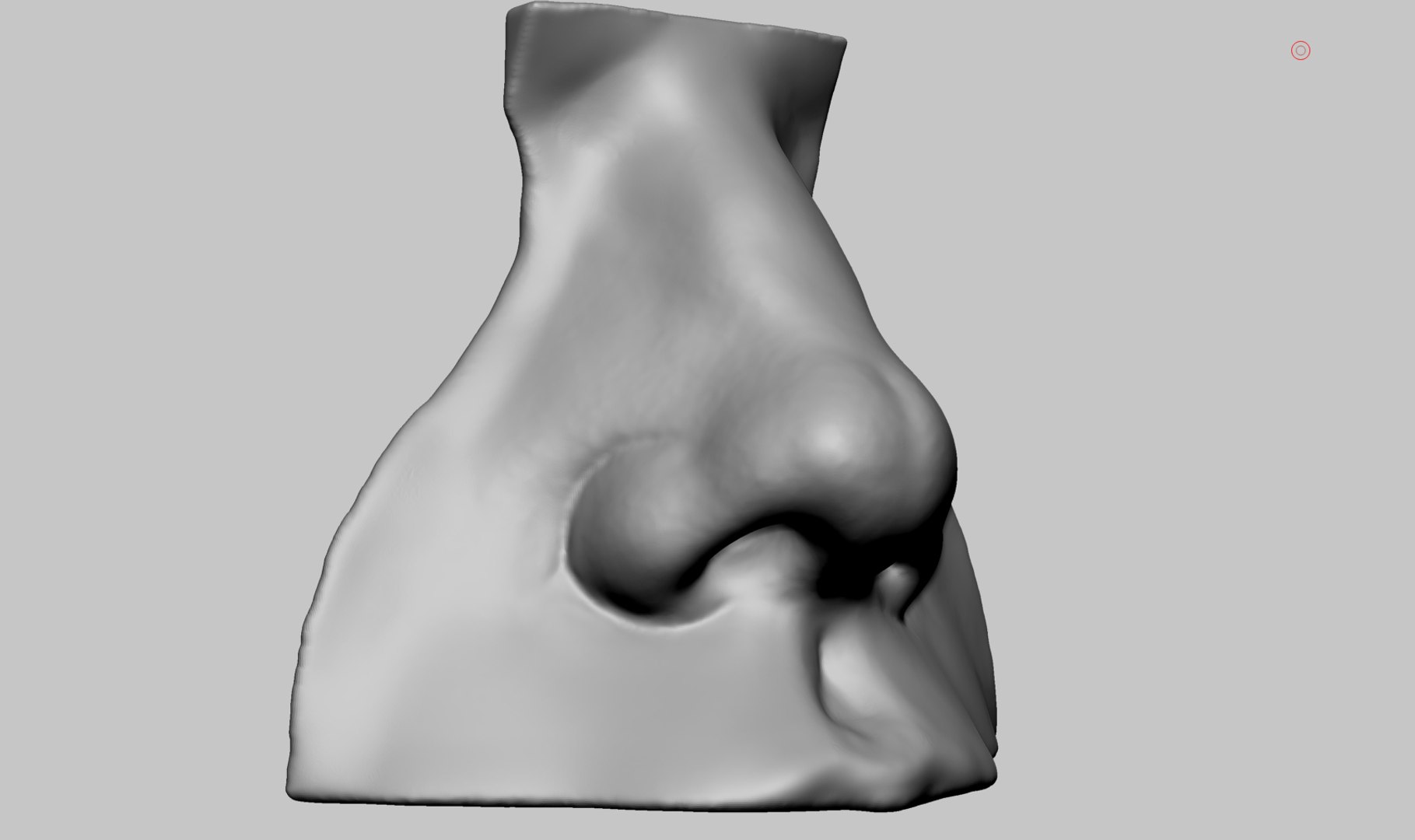 3D nose 3dprint ztl - TurboSquid 1516637