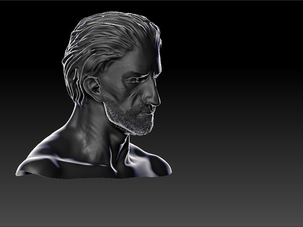 zbrush human male head 3d model