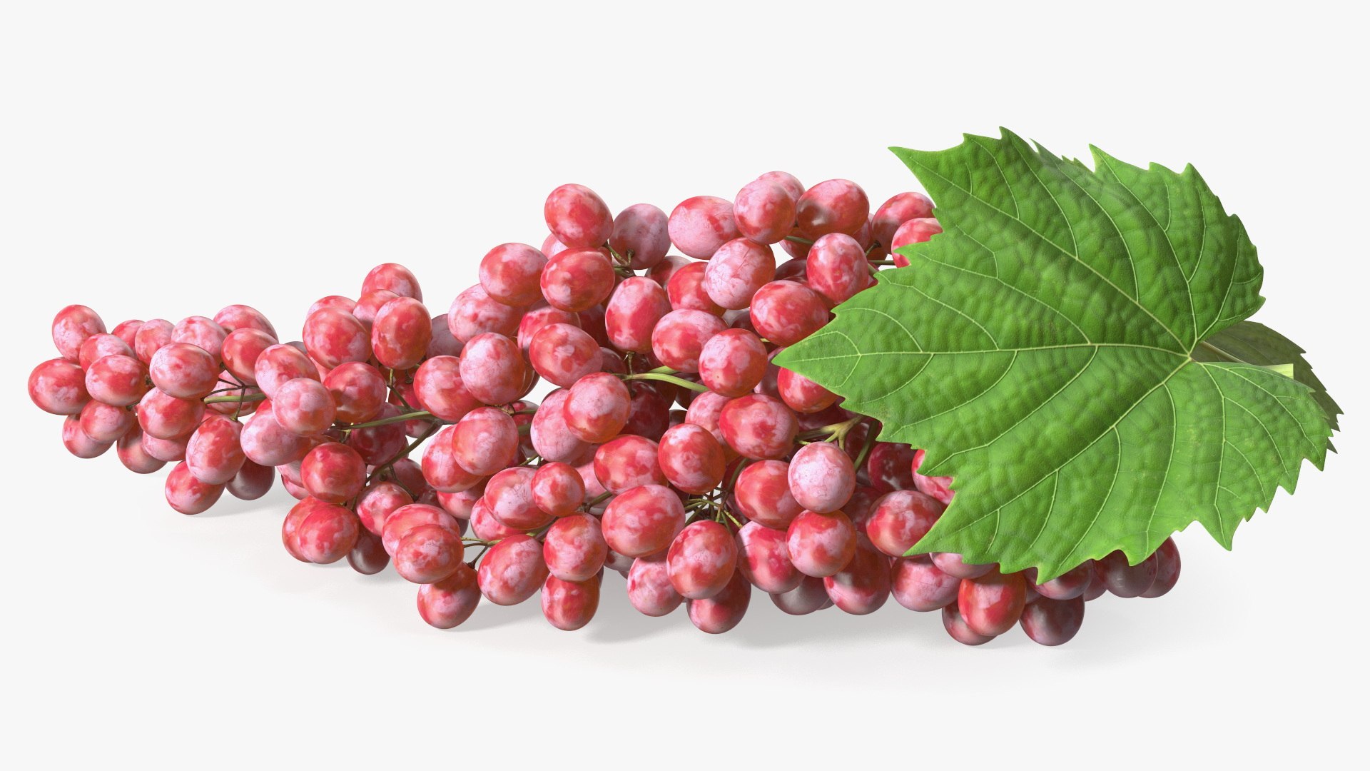 Sultana Red Grape Cluster Lying 3D - TurboSquid 2179986