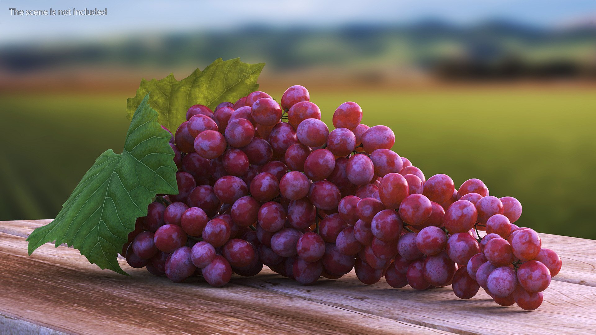 Sultana Red Grape Cluster Lying 3D - TurboSquid 2179986