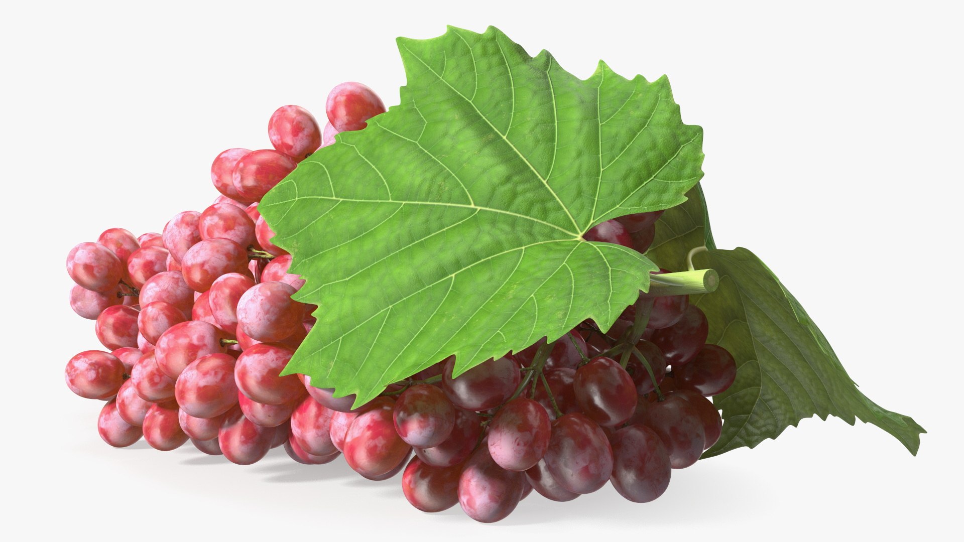 Sultana Red Grape Cluster Lying 3D - TurboSquid 2179986