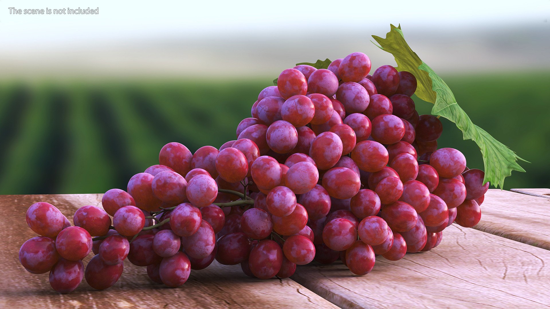 Sultana Red Grape Cluster Lying 3D - TurboSquid 2179986