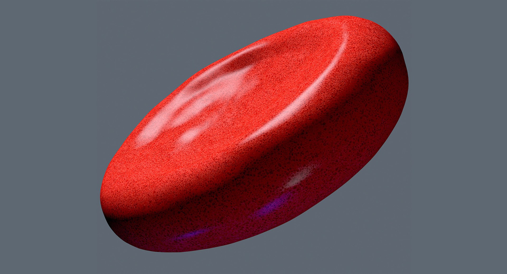 3D Blood Cell Model - TurboSquid 1153226