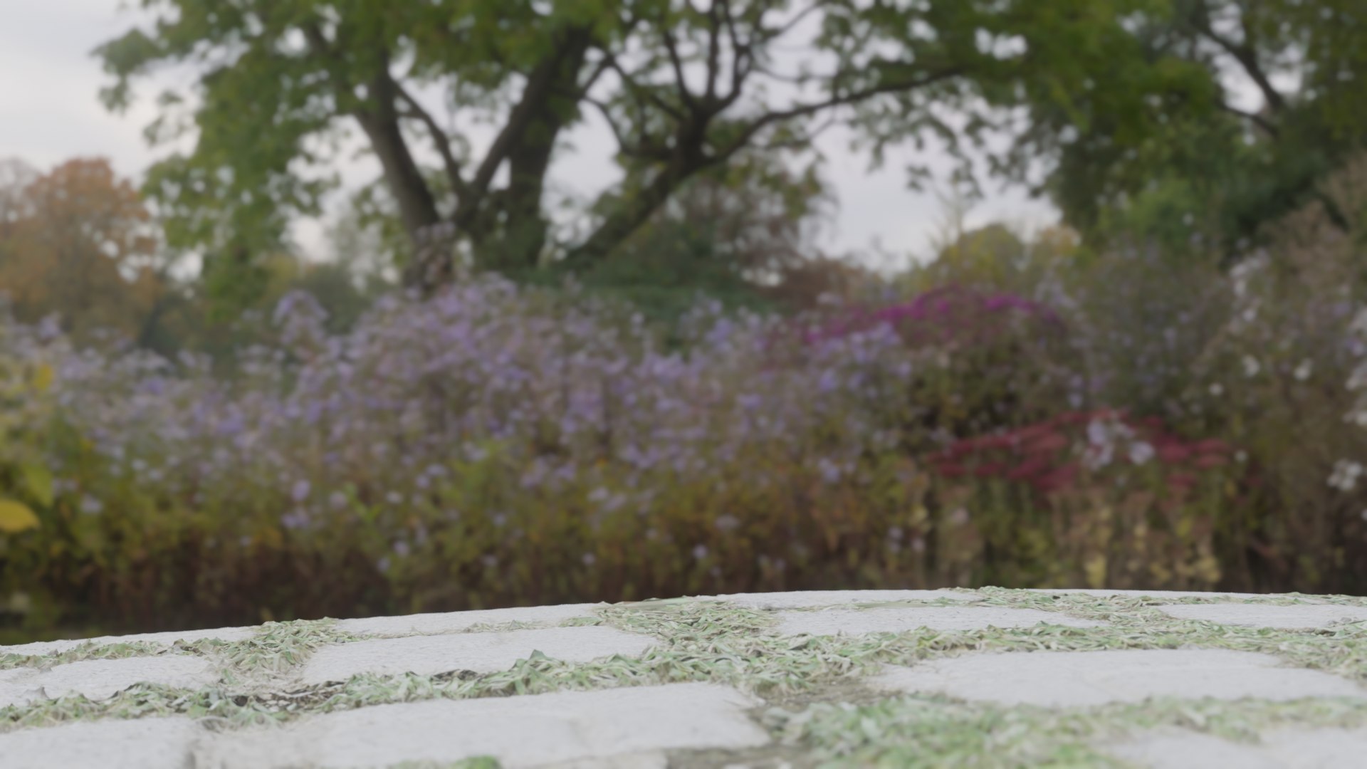 3D Ground Surface Model - TurboSquid 1853187