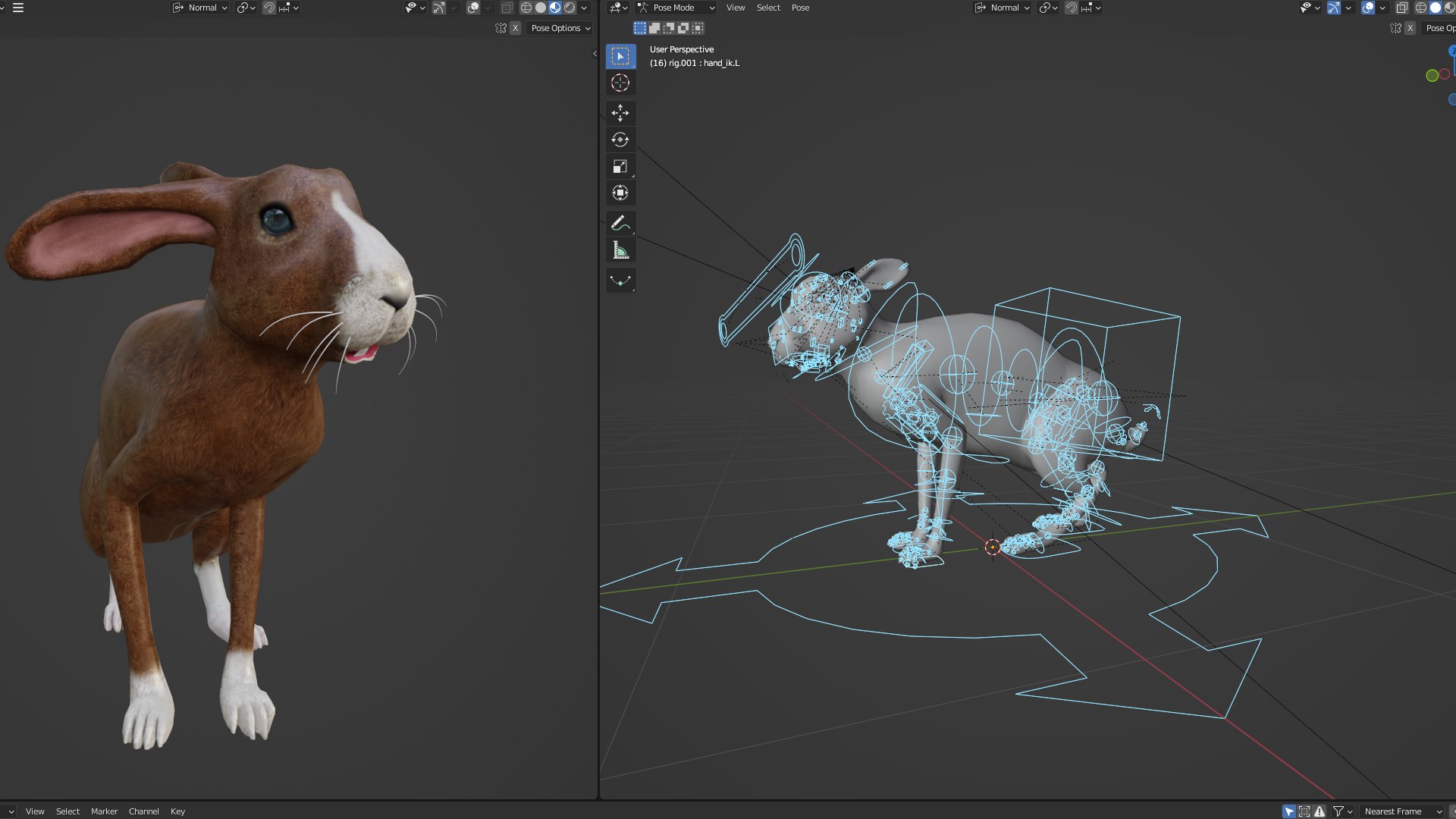 Rabbit 3D Model - TurboSquid 2022877