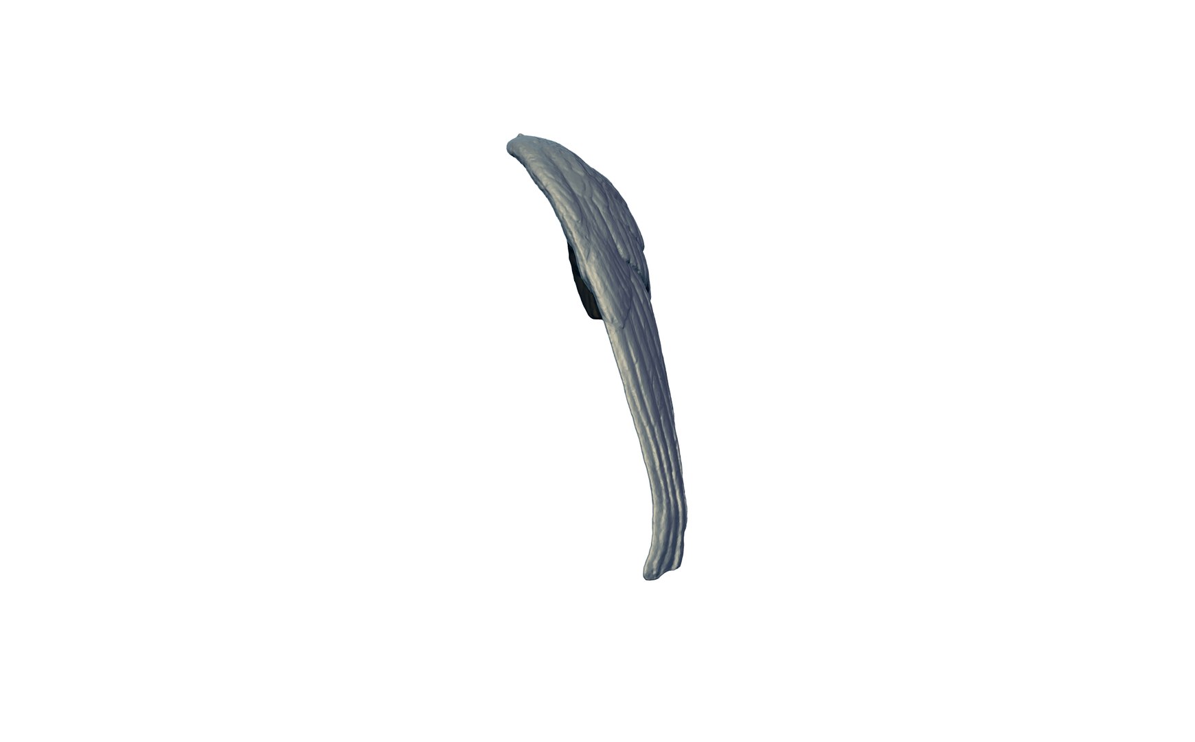 3D Wings Model - TurboSquid 2176835