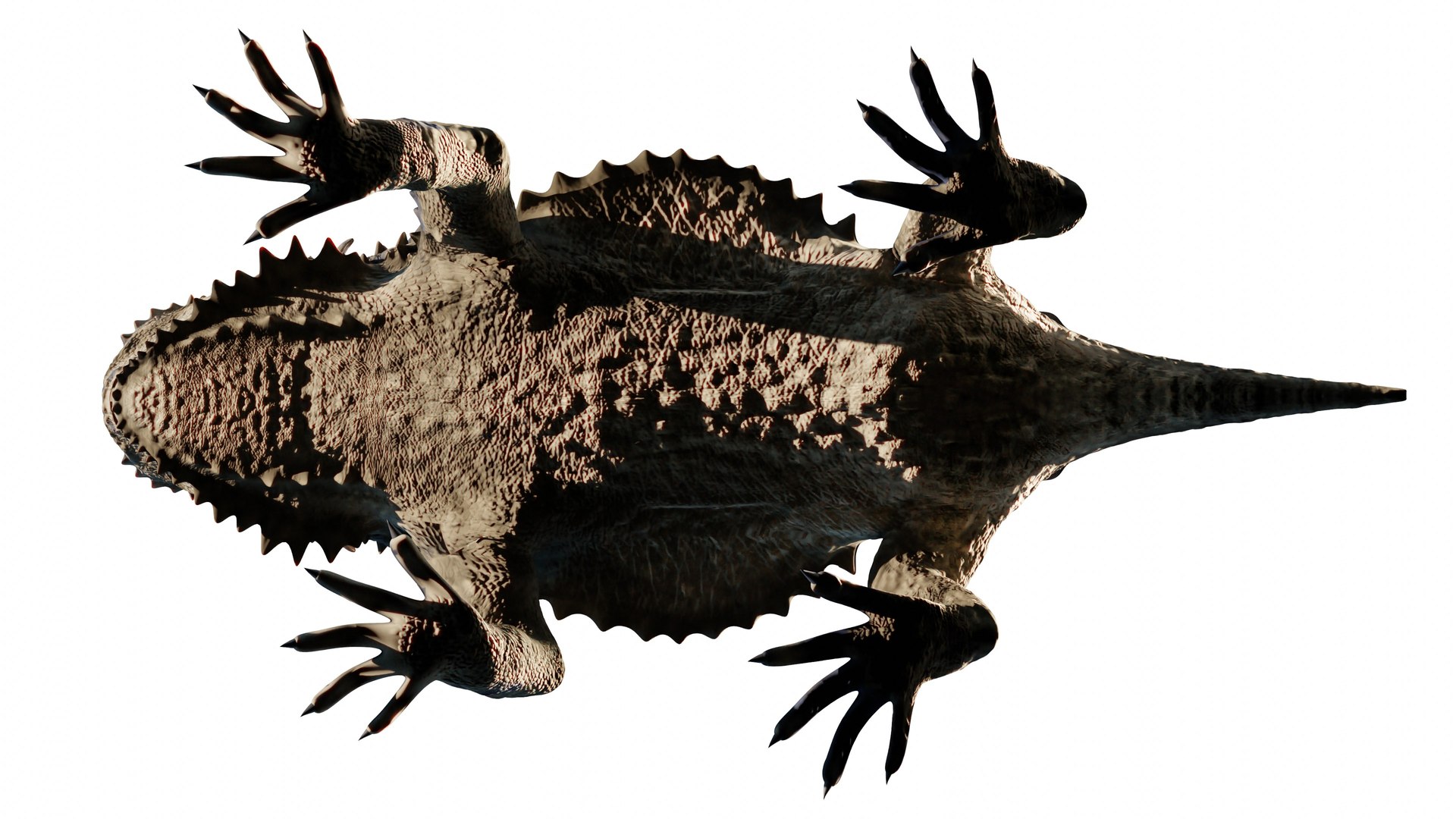 3D Model Horntoad Lizard - TurboSquid 1805167