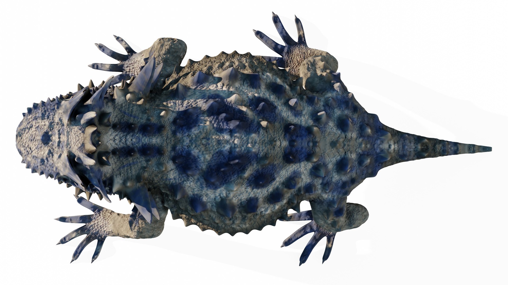 3D Model Horntoad Lizard - TurboSquid 1805167
