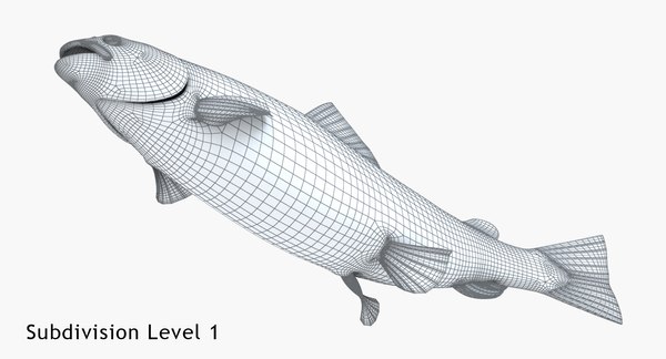 salmon fish animation 3d max