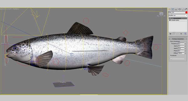 salmon fish animation 3d max