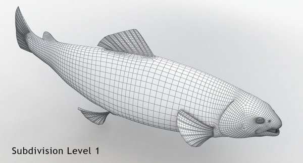 salmon fish animation 3d max