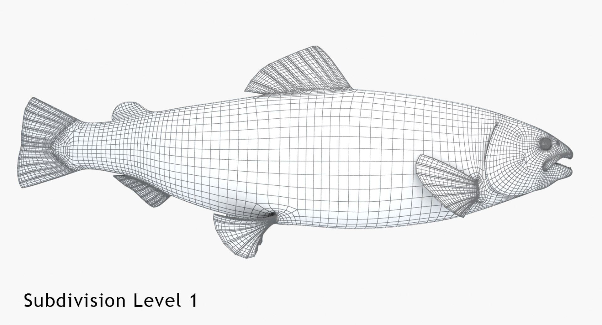 Salmon Fish Animation 3d Max