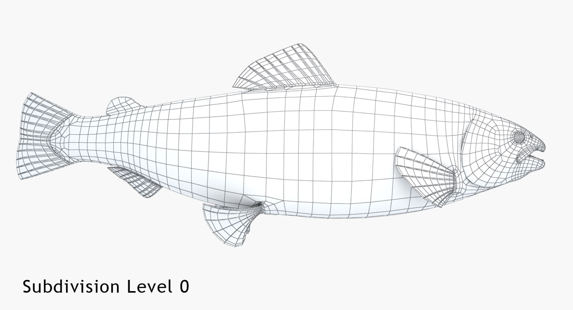 Salmon Fish Animation 3d Max