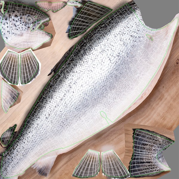 salmon fish animation 3d max