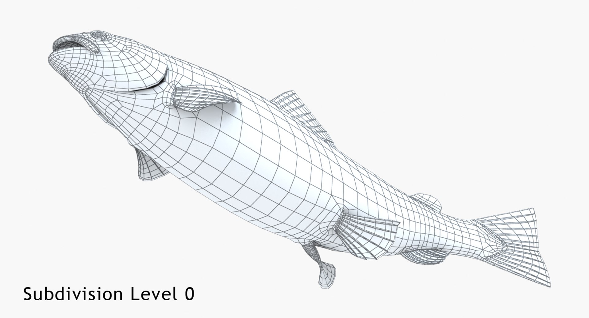 Salmon Fish Animation 3d Max