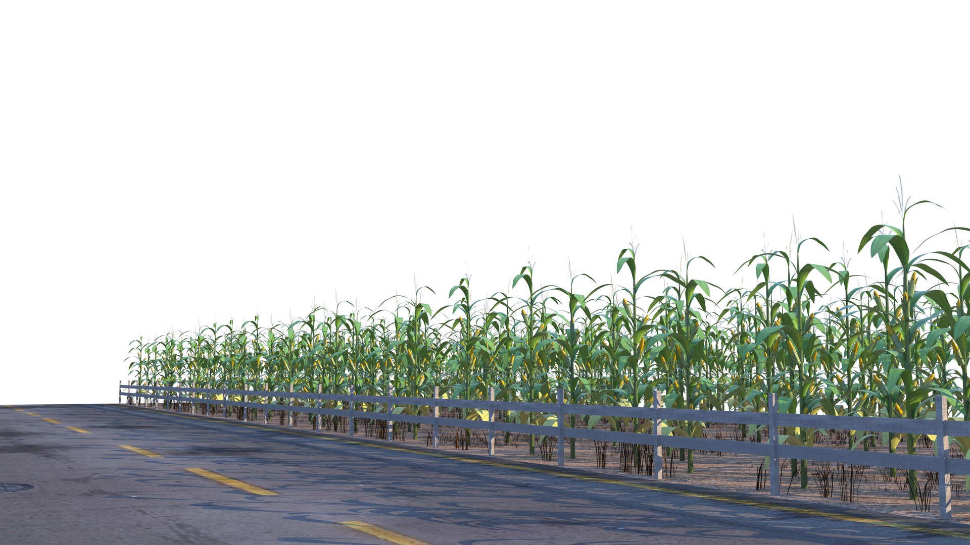 3D Cornfield Model - TurboSquid 2176441