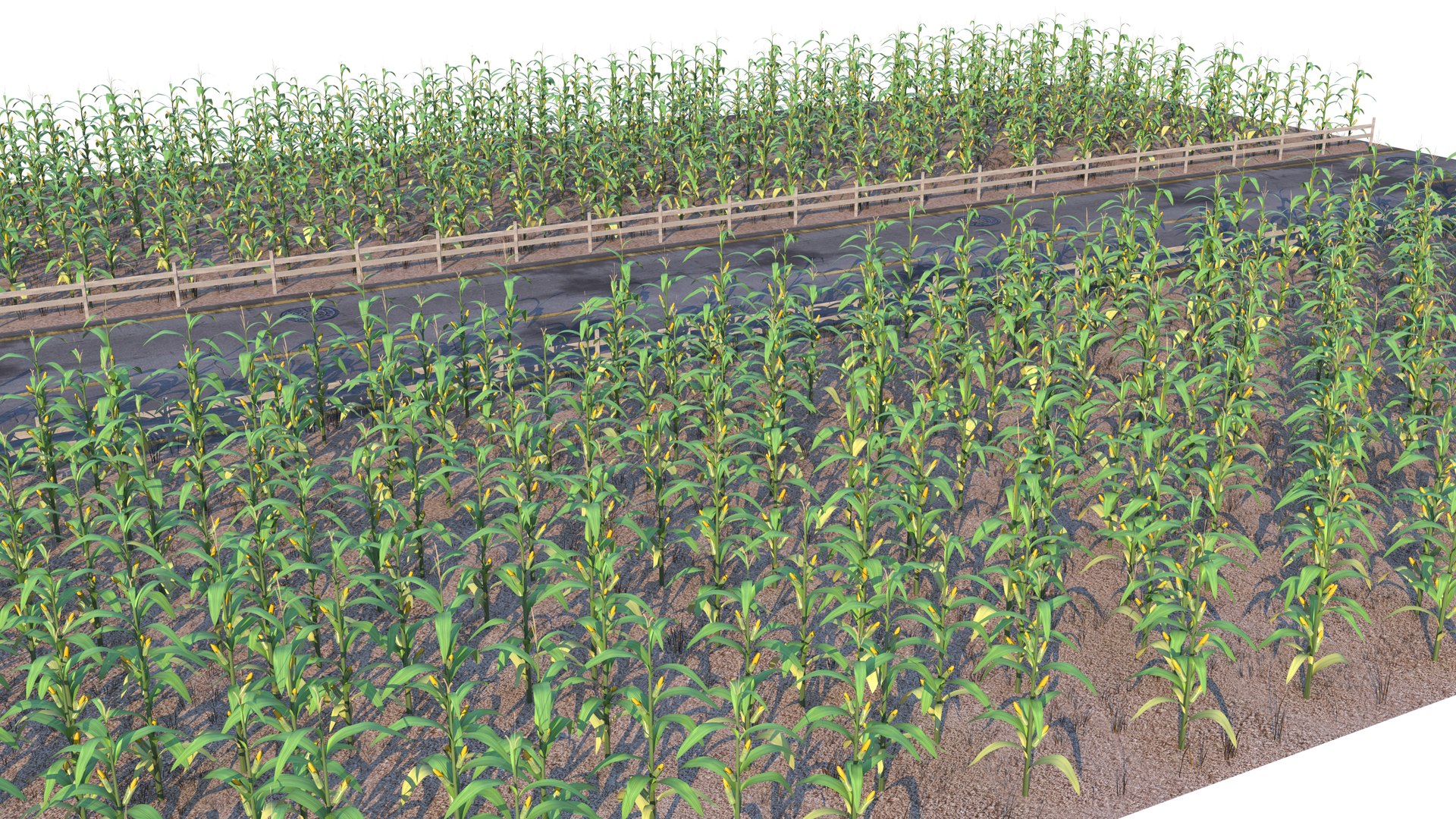 3D Cornfield Model - TurboSquid 2176441
