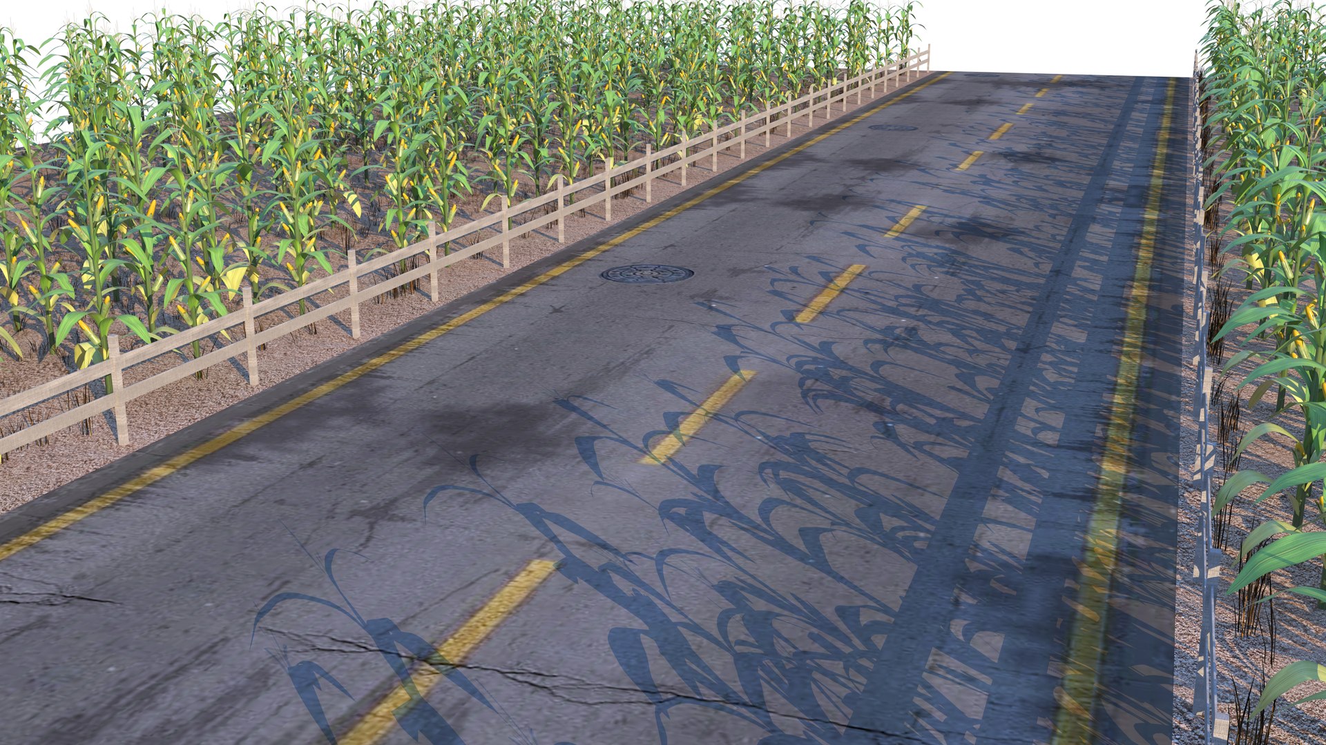 3D Cornfield Model - TurboSquid 2176441