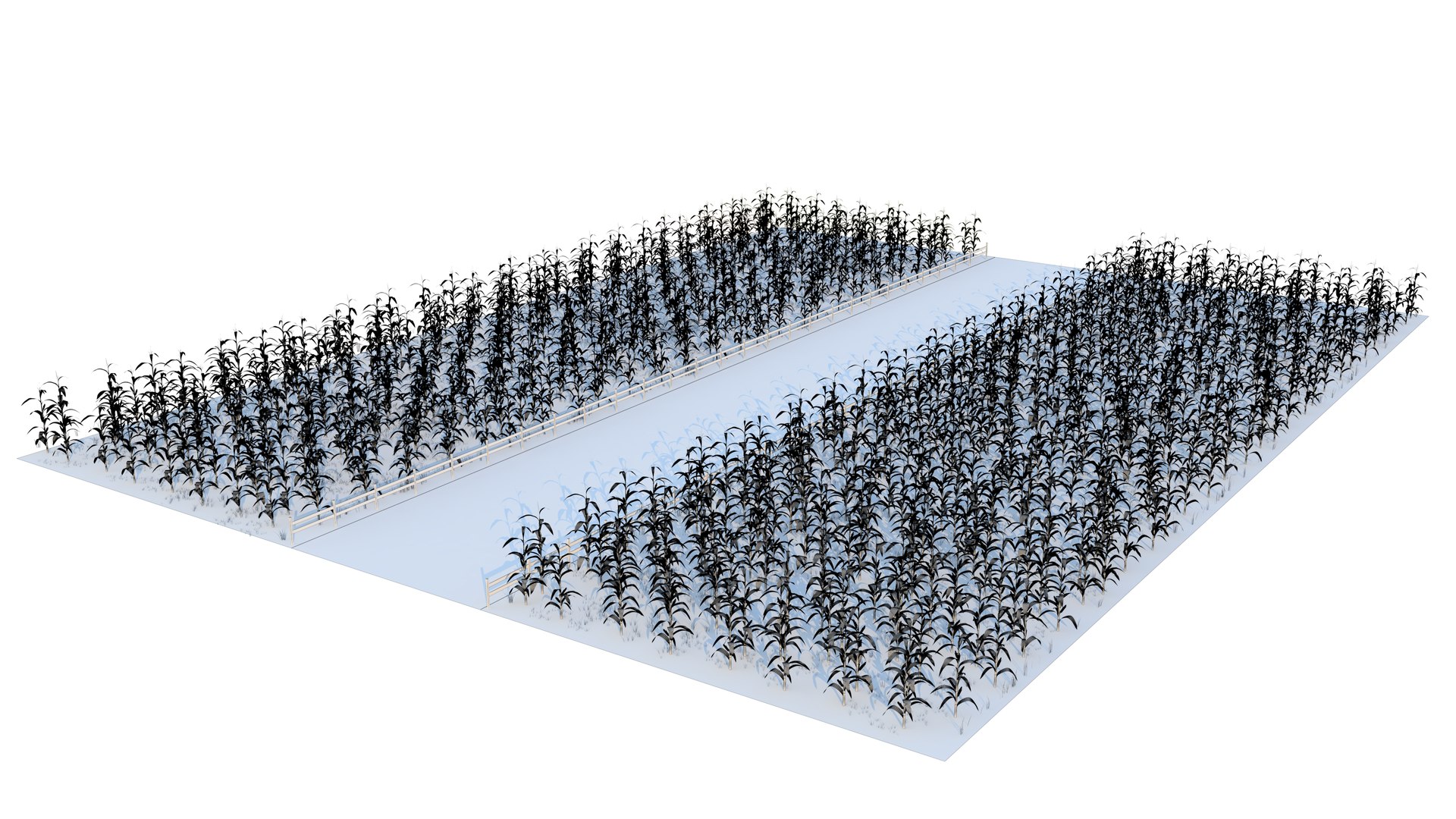 3D Cornfield Model - TurboSquid 2176441