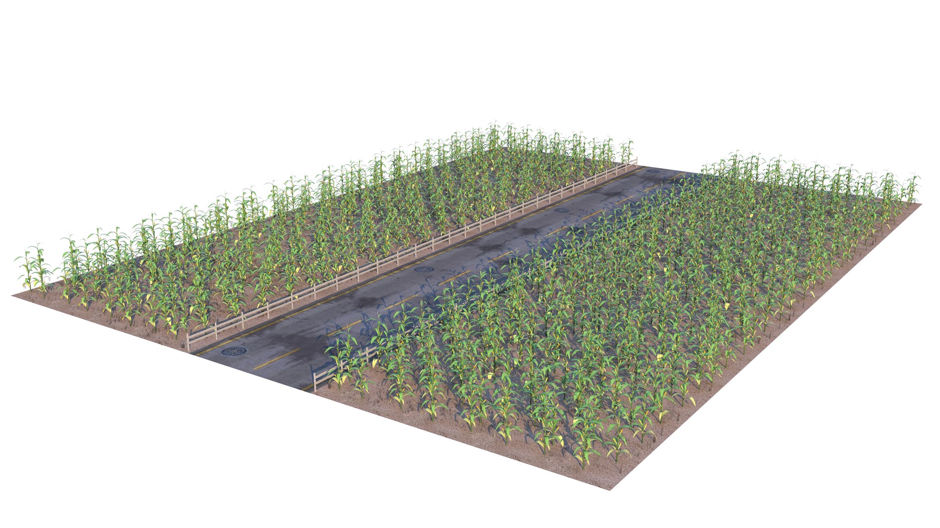 3D Cornfield Model - TurboSquid 2176441