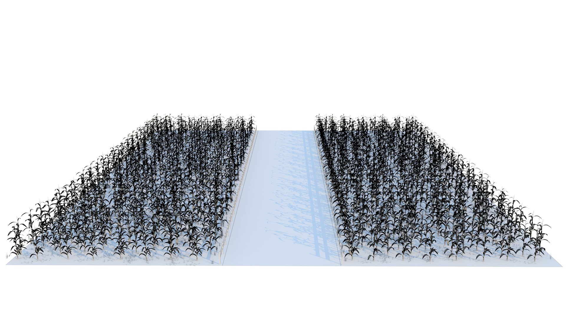 3D Cornfield Model - TurboSquid 2176441