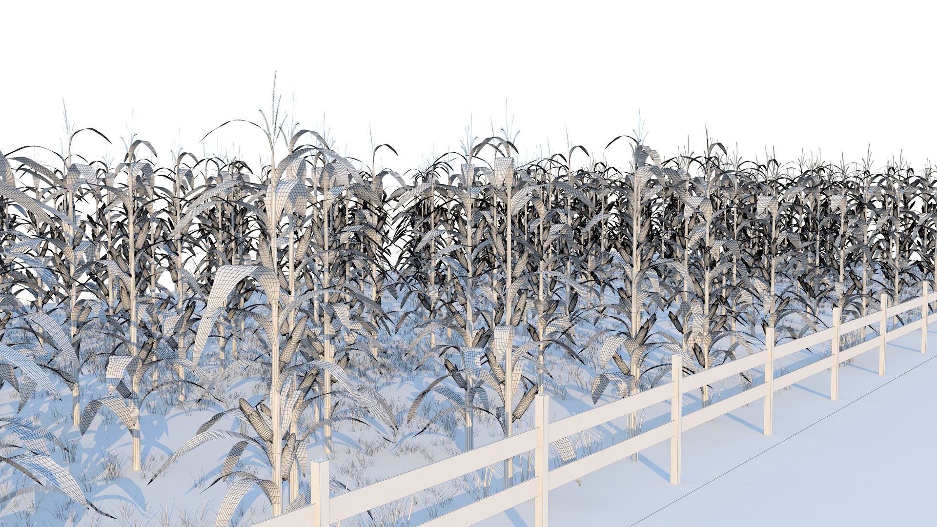 3D Cornfield Model - TurboSquid 2176441