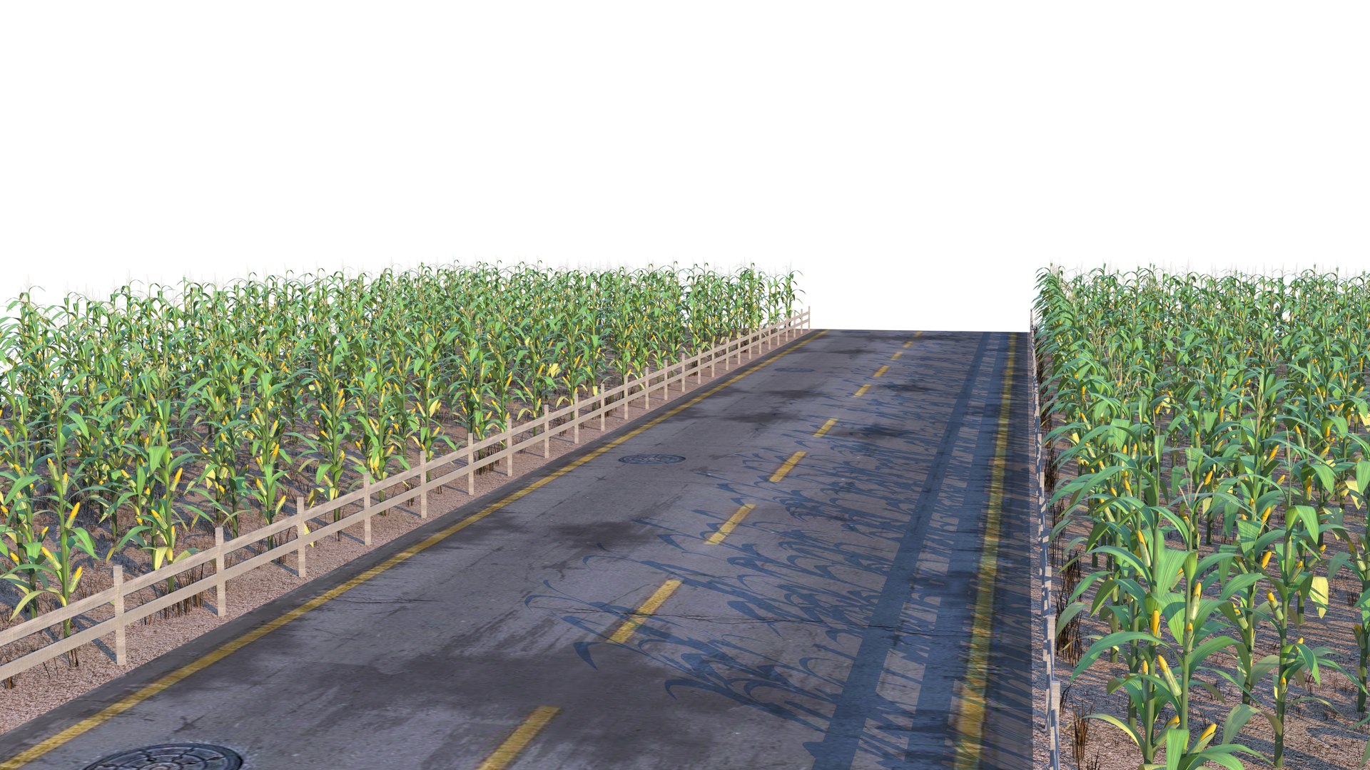 3D Cornfield Model - TurboSquid 2176441