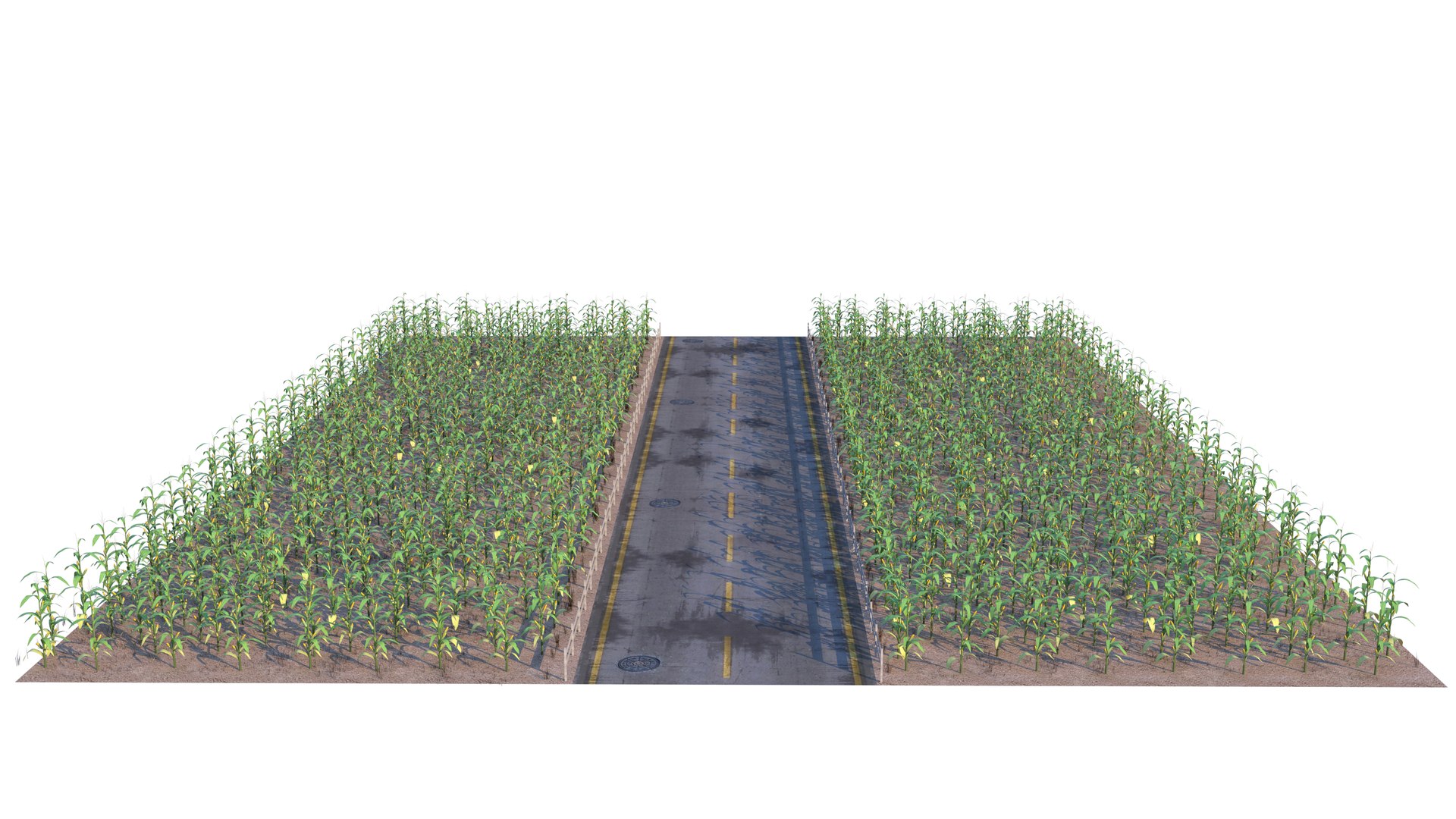 3D Cornfield Model - TurboSquid 2176441