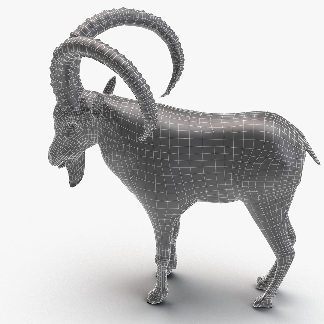 3d Model Ibex