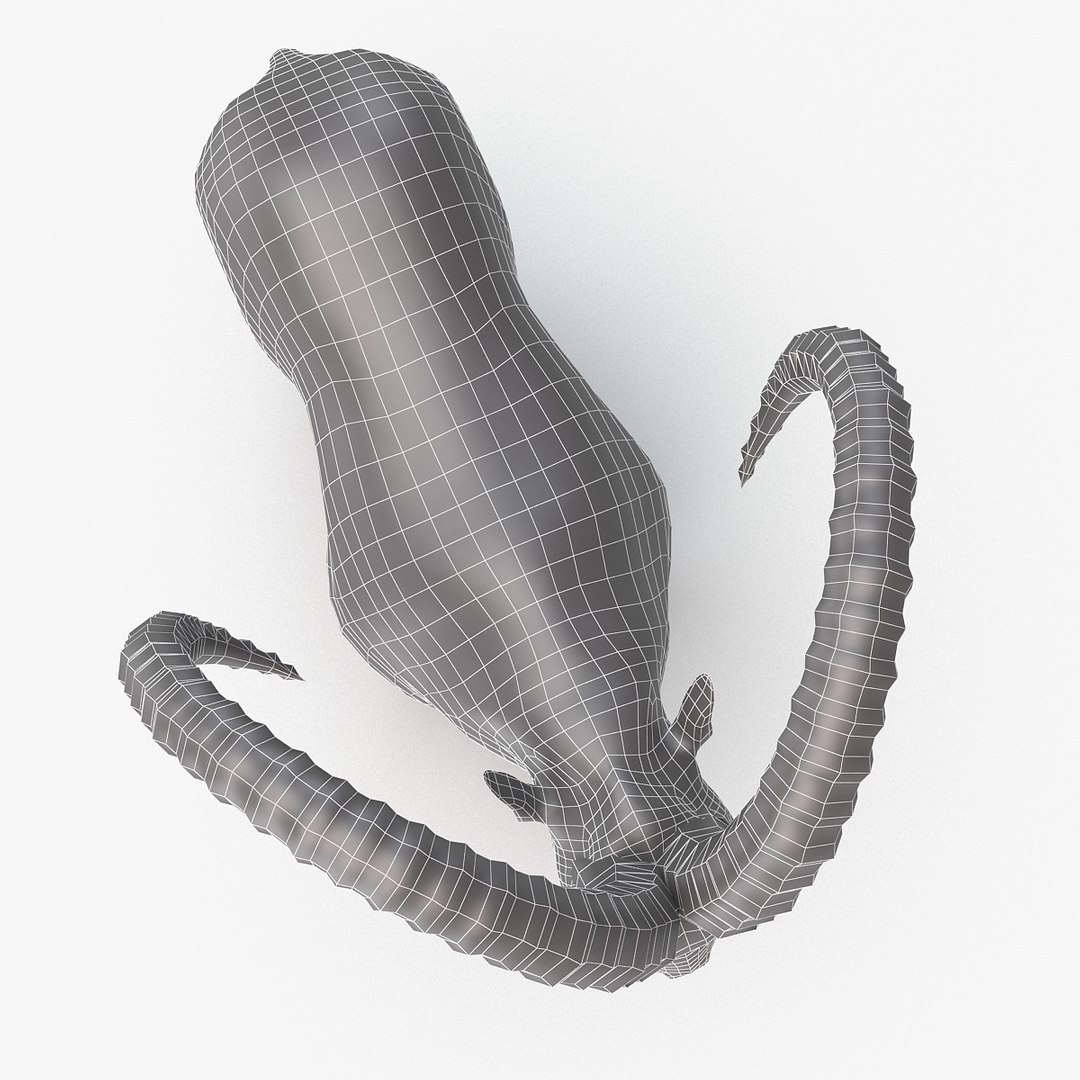 3d Model Ibex