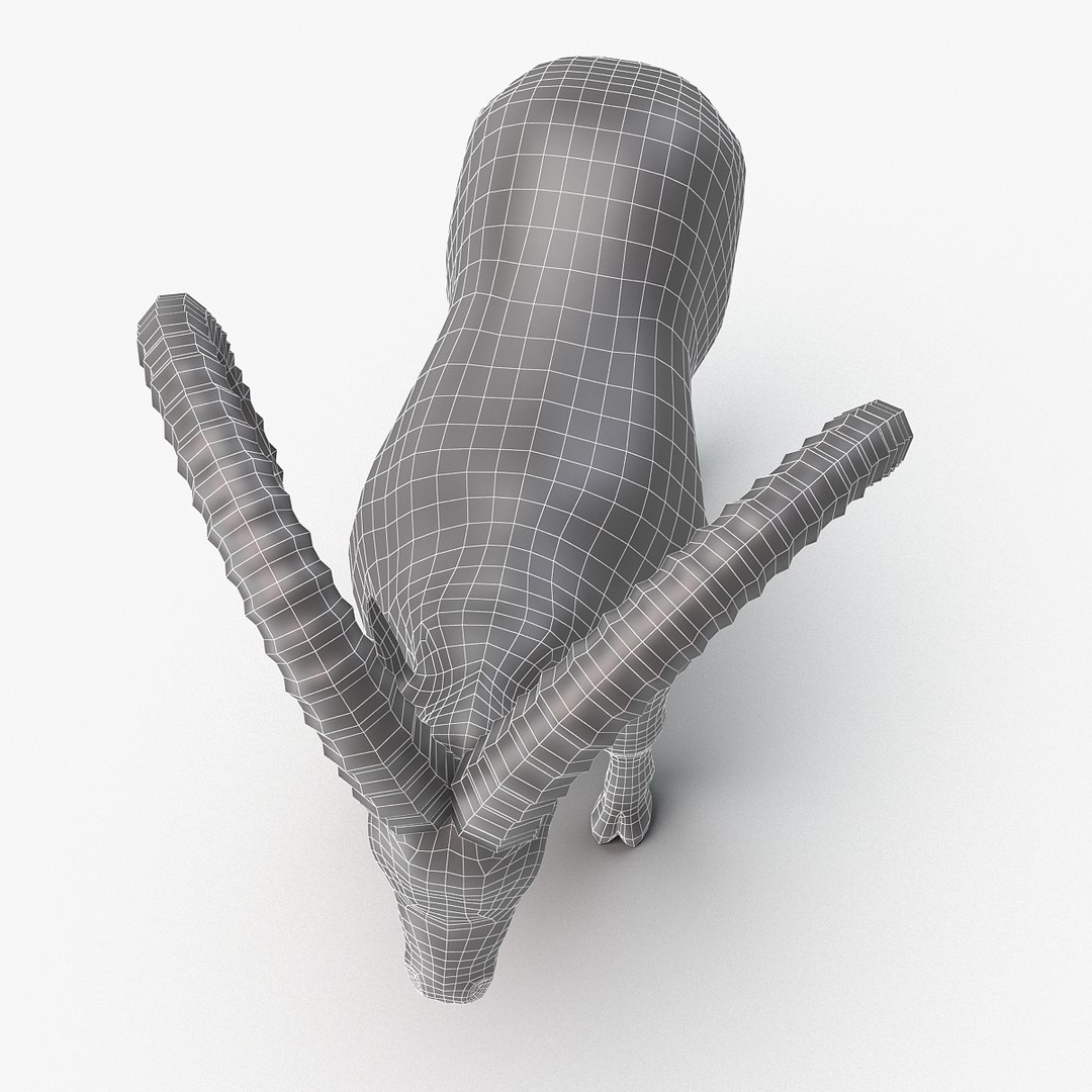 3d Model Ibex