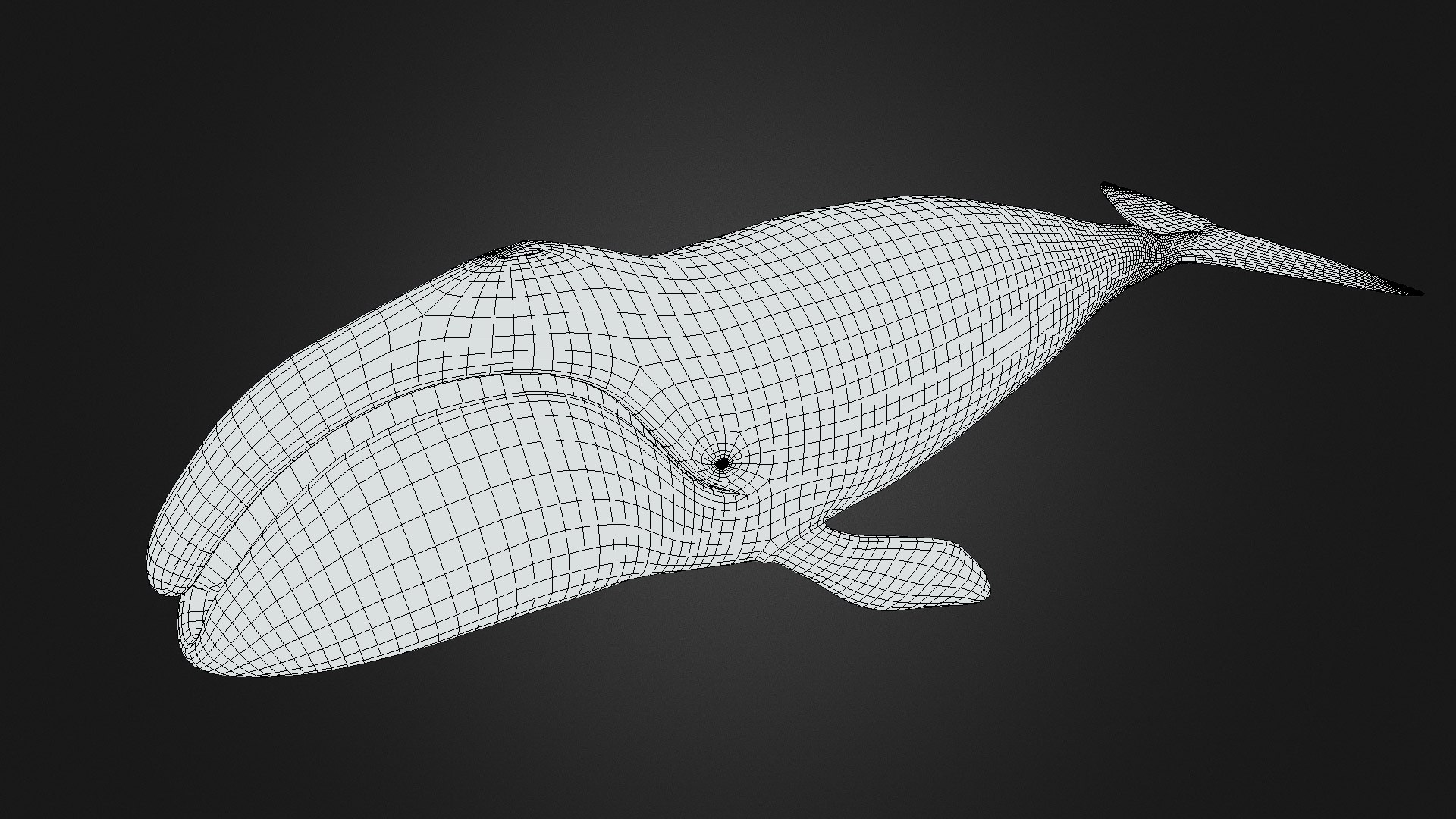 Bowhead Whale 3D Model - TurboSquid 1425932