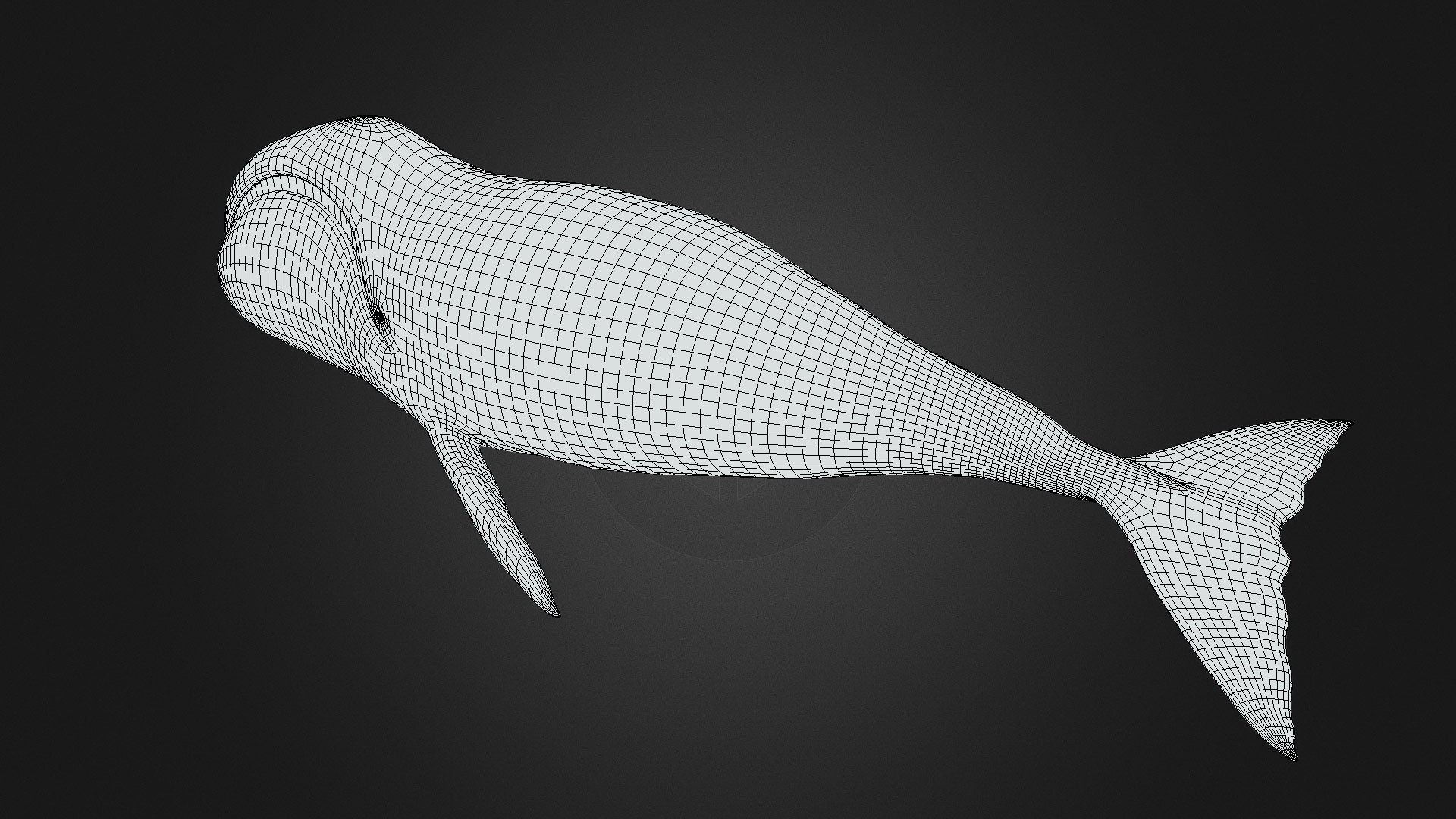 Bowhead Whale 3D Model - TurboSquid 1425932