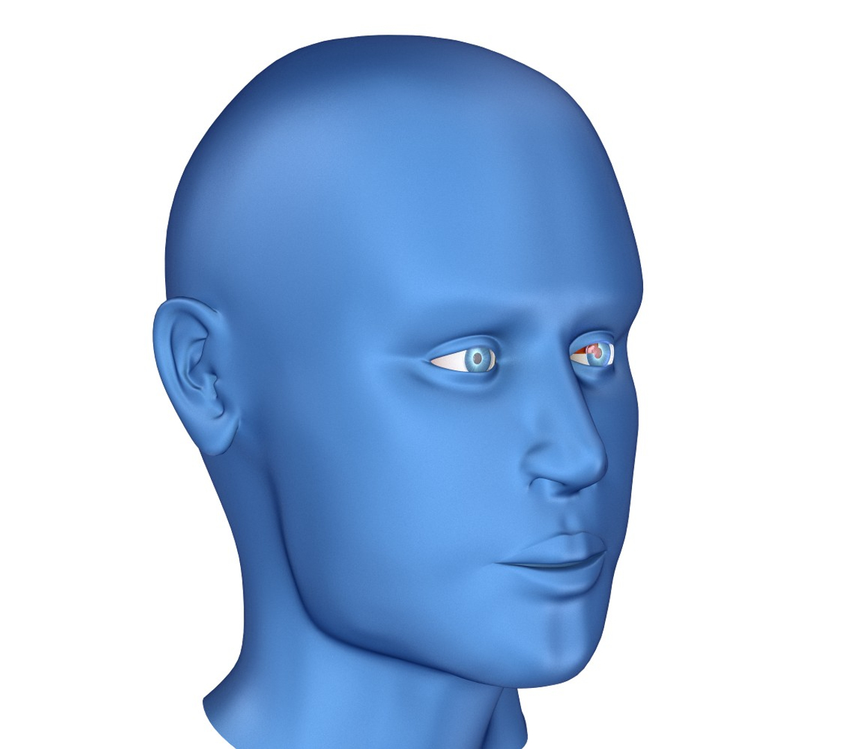 eye anatomy inner structure 3ds