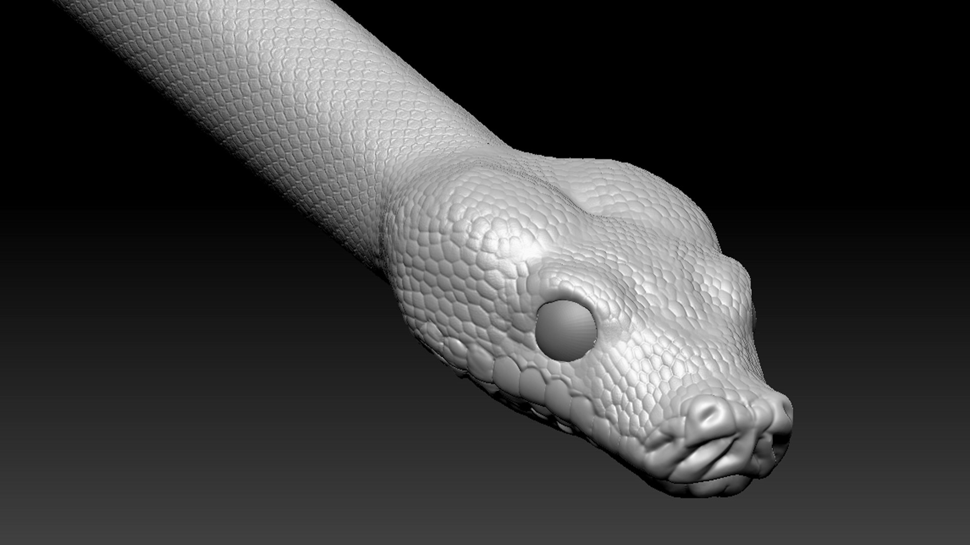 Python Zbrush Model 3D Model - TurboSquid 2365400