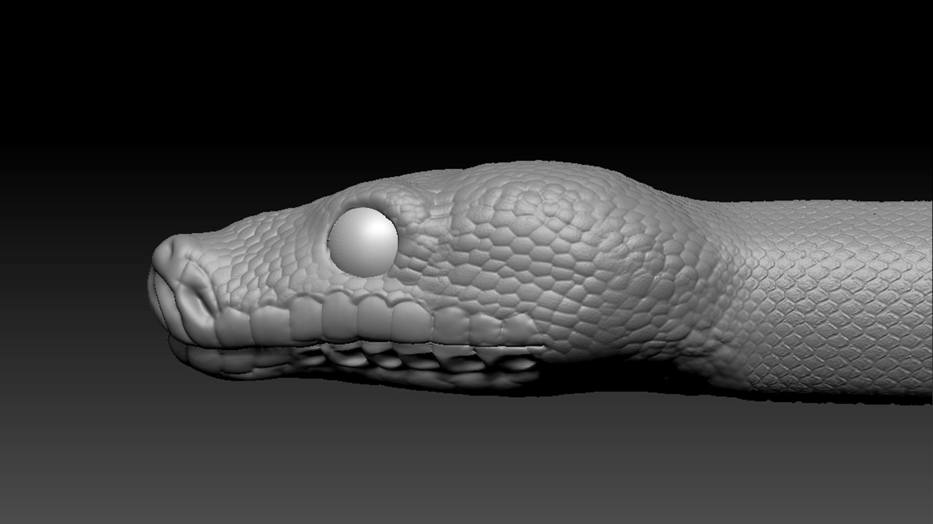 Python Zbrush Model 3D Model - TurboSquid 2365400